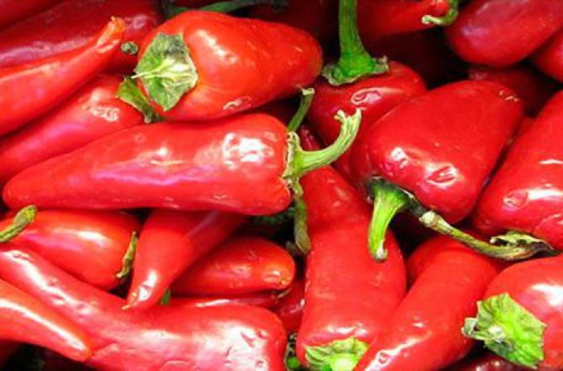 Il peperone dop di Pontecorvo diventa un affare da broker - Foto 1 di 1 ...