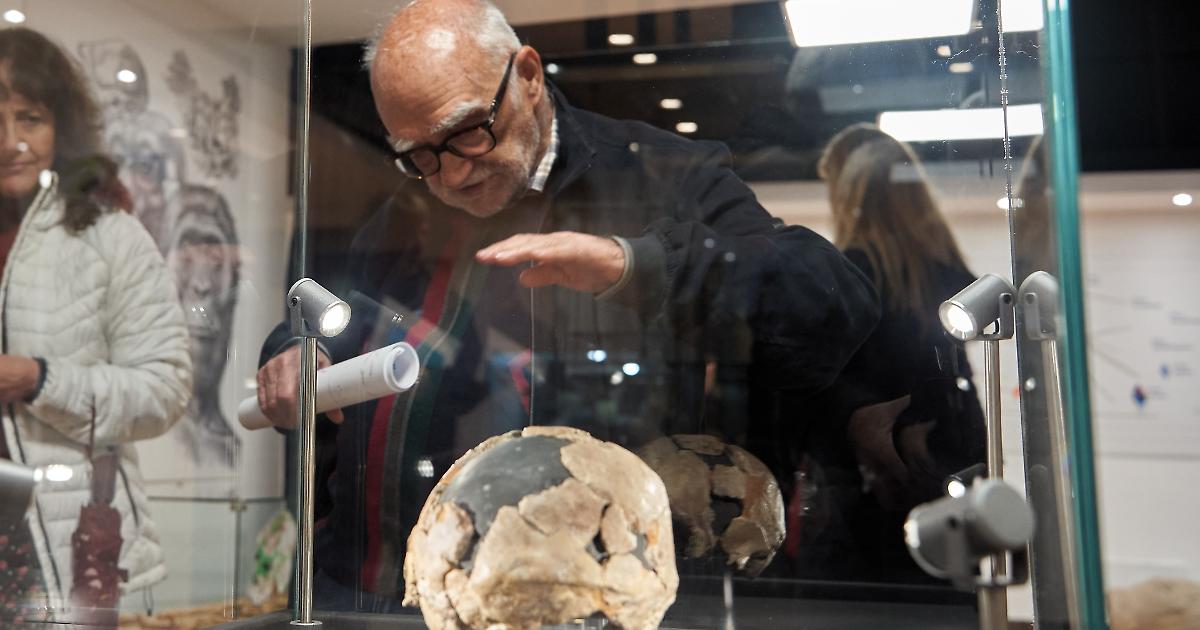 Ferentino, L'uomo di Ceprano, un incontro alla scoperta delle antiche ...