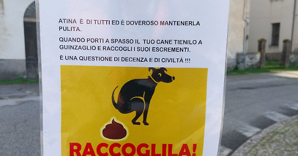Atina, Deiezioni canine sporcano il centro storico. Spuntano i cartelli ...