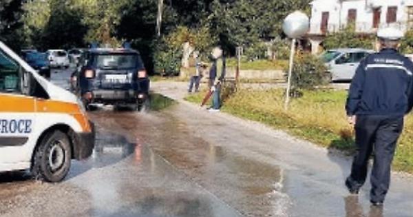 Bimbo azzannato al volto da un cane: la scena choc sotto gli occhi dei ...