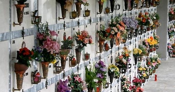 Muore di tumore a 12 anni: gli sciacalli si accaniscono sulla sua tomba - Foto 1 di 1 ...